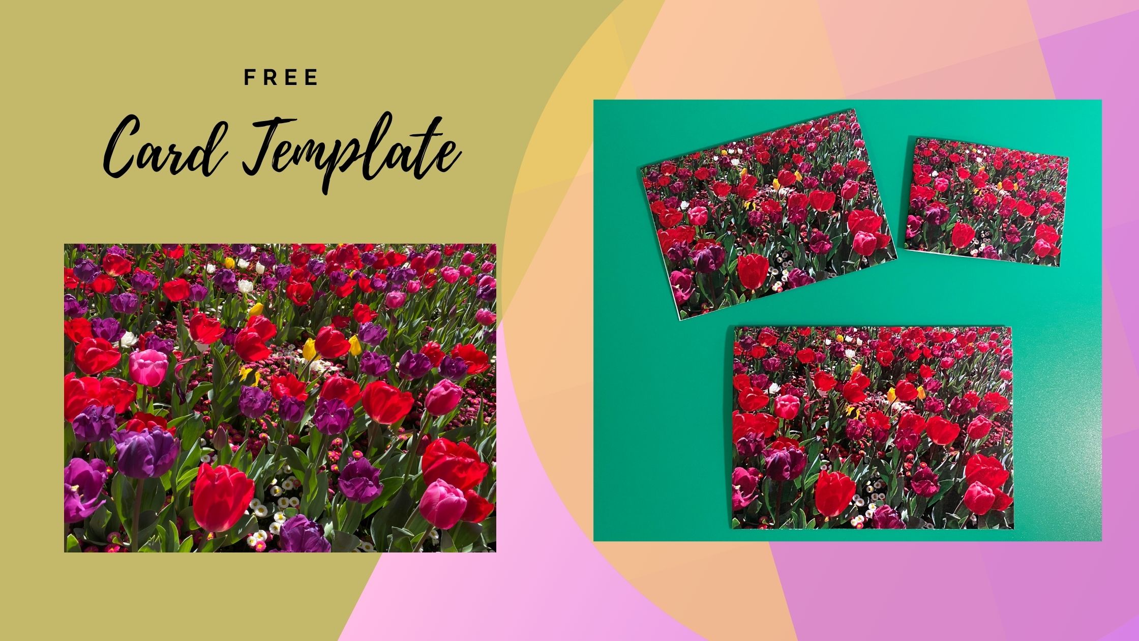 blank greeting card template- White Bow Gift Registry